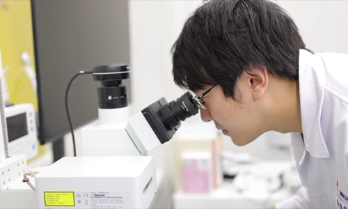 Support | Micron USA